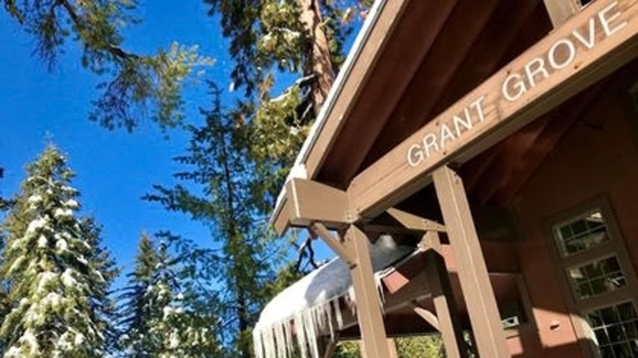 Grant Grove Village to General Grant Tree Winter Trail (U.S. National ...