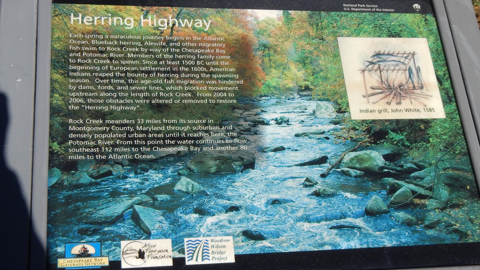 Information Panel: "Herring Highway"-Thompson Boat Center (U.S ...