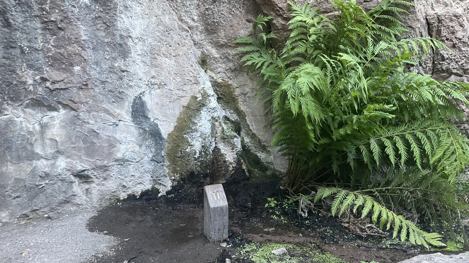 Moses Spring (U.S. National Park Service)