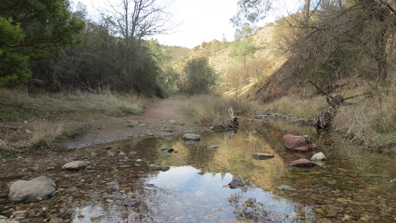 Hike Old Pinnacles Trail to Balconies Cave (U.S. National Park Service)