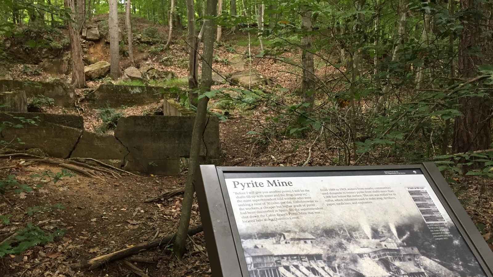 Pyrite Mine Building Foundations (U.S. National Park Service)