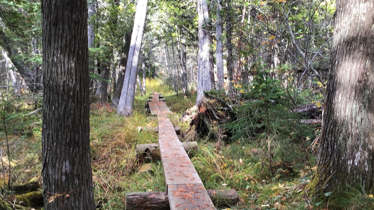 Walk the Windigo Nature Trail (U.S. National Park Service)