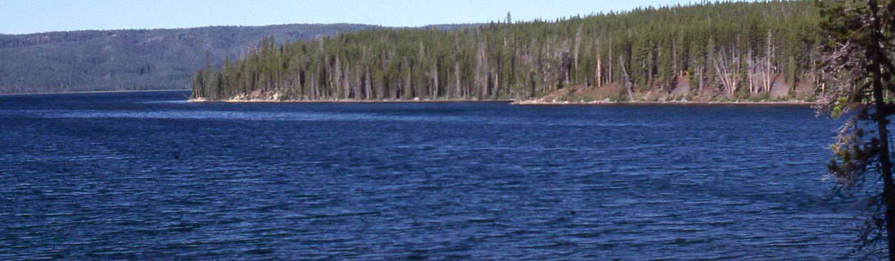 DeLacy Creek Trail (U.S. National Park Service)