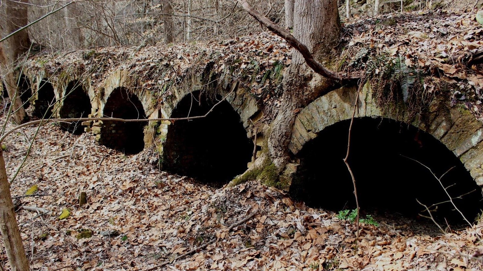 Red Ash Coke Ovens (U.S. National Park Service)