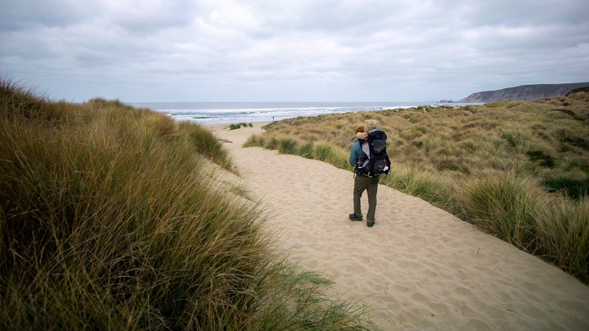 Hike the Kehoe Beach Trail (U.S. National Park Service)