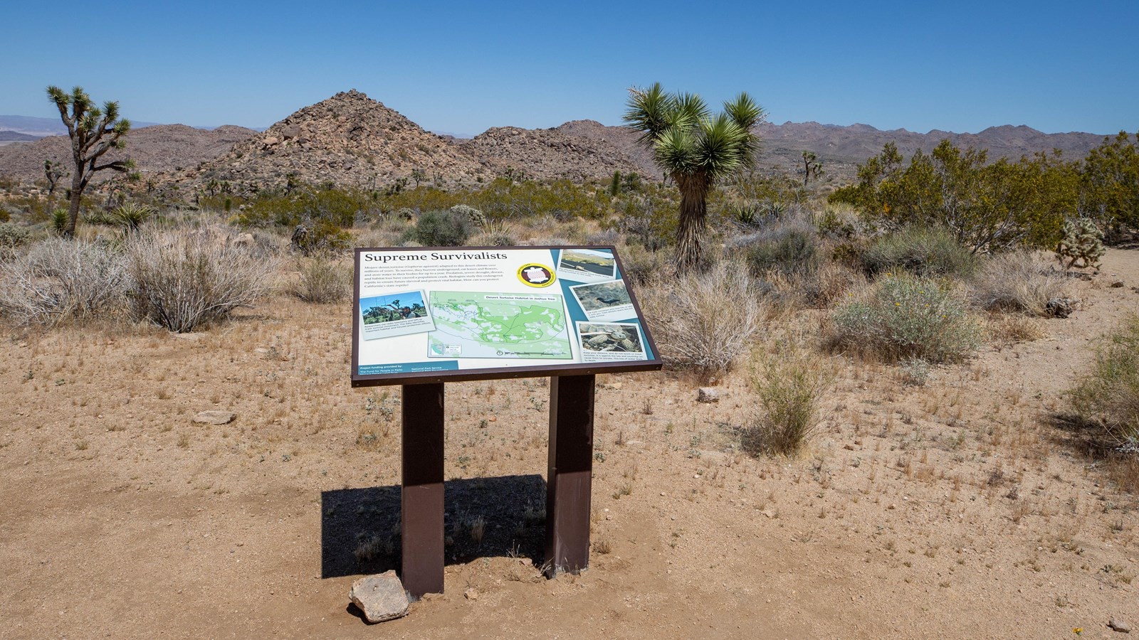 Nancy Karl Trail Overlook (U.S. National Park Service)