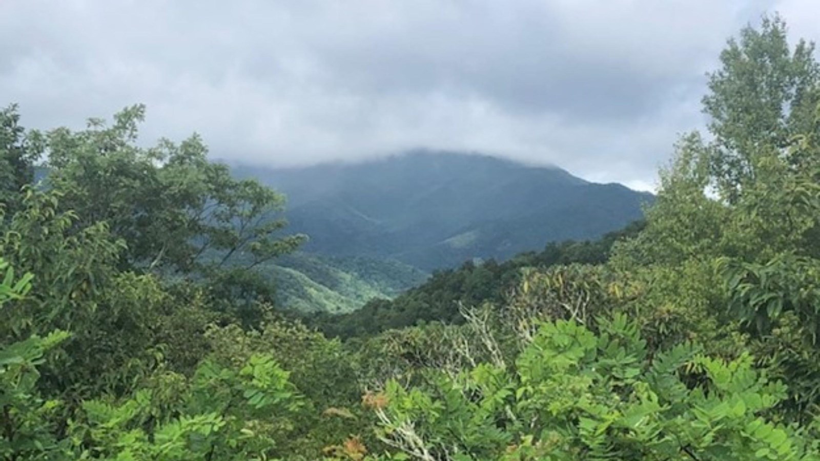 Cold Mountain Overlook (U.S. National Park Service)