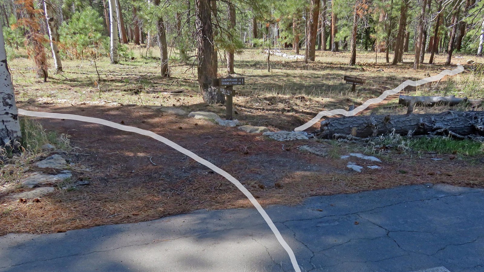 Transept Trail Intersection with Bridle Path by AZ SR67 (U.S. National ...