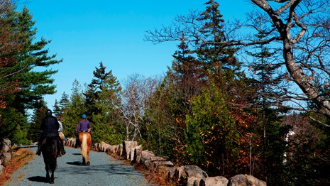 Carriage Roads - Acadia National Park (U.S. National Park Service)