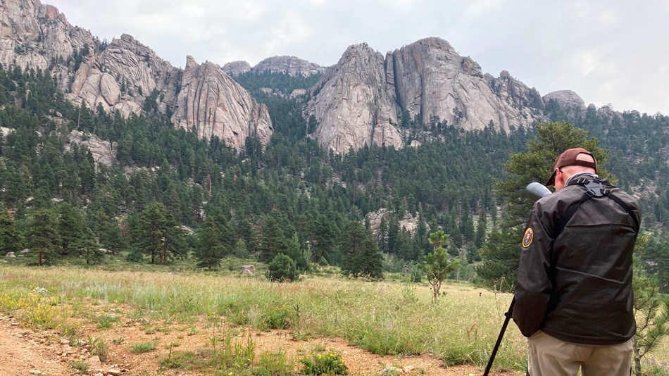 Raptor Monitoring Surveys 2022 (U.S. National Park Service)