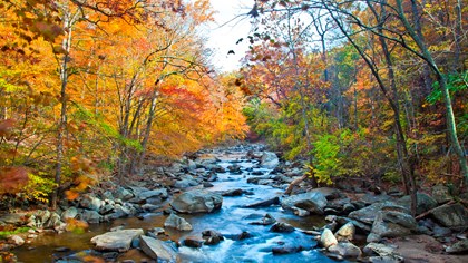 NPS.gov Homepage (U.S. National Park Service)