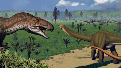 Paleontology - Dinosaur National Monument (U.S. National Park Service)