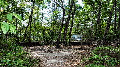 Davis Bayou Area - Gulf Islands National Seashore (U.S. National Park ...