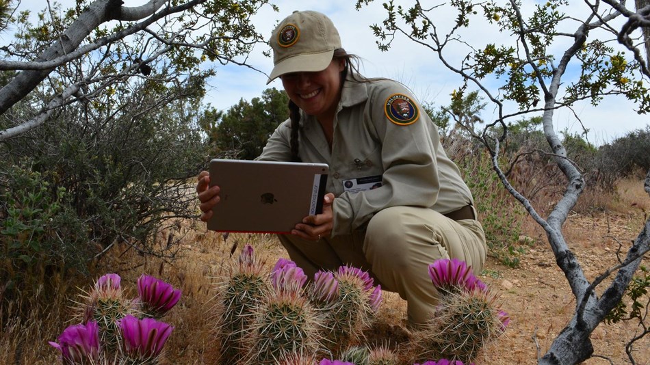 Education - Joshua Tree National Park (U.S. National Park Service)