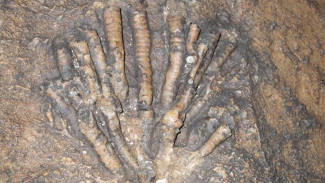How Mammoth Cave Formed - Mammoth Cave National Park (U.S. National ...