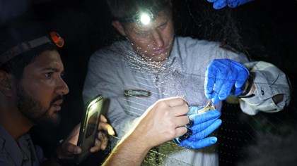 Explore Nature (U.S. National Park Service)