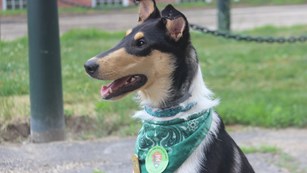 BARK Ranger Day - NPS Celebrates! (U.S. National Park Service)