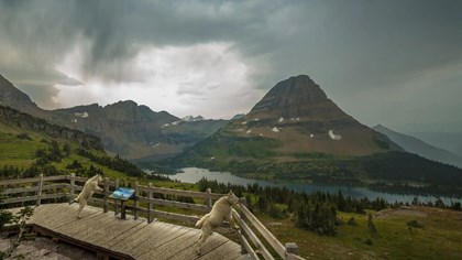 Get Involved in Planning - Park Planning (U.S. National Park Service)