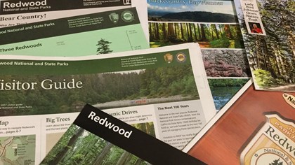Learn About the Park - Redwood National and State Parks (U.S. National ...