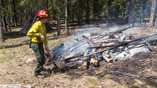 1988 Fires - Yellowstone National Park (U.S. National Park Service)