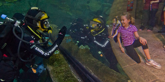 Jr Ranger Underwater Explorer - Underwater (U.S. National Park Service)