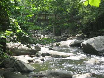 Rapids Bridge (U.S. National Park Service)
