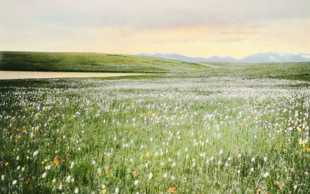 Weippe Prairie (U.S. National Park Service)