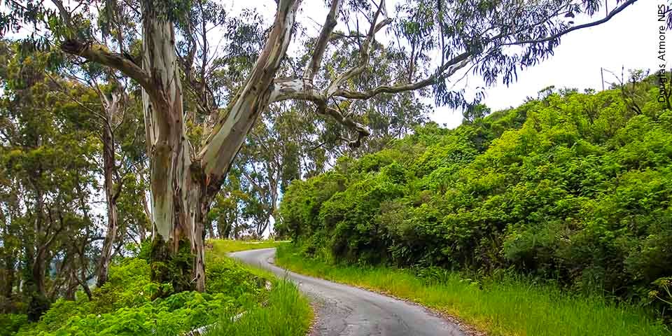 Sweeney Ridge - Golden Gate National Recreation Area (U.S. National ...
