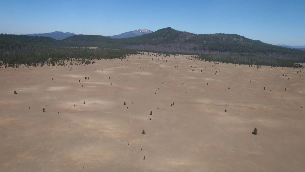 Pumice Desert - Crater Lake National Park (U.S. National Park Service)