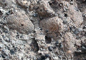 Unionid clams - Dinosaur National Monument (U.S. National Park Service)
