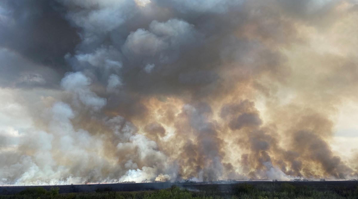 Fire Operations - Everglades National Park (U.S. National Park Service)