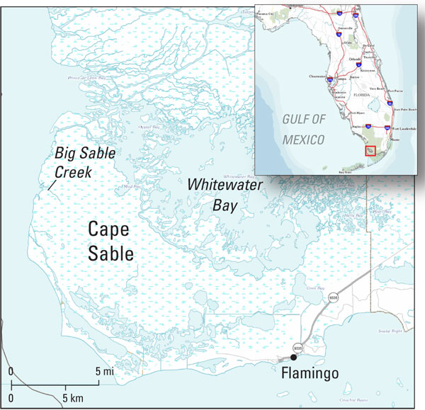 Everglades Foundation Partners With National Park Service to Restore ...