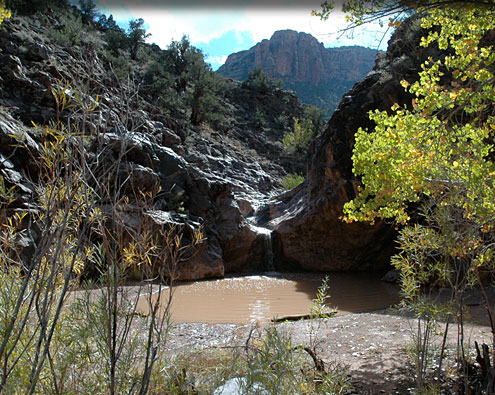 National Park Service - Colorado National Monument - Medium - Desert ...