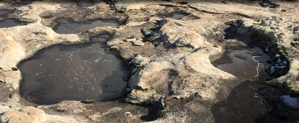 National Park Service - Colorado National Monument - Medium - Desert ...