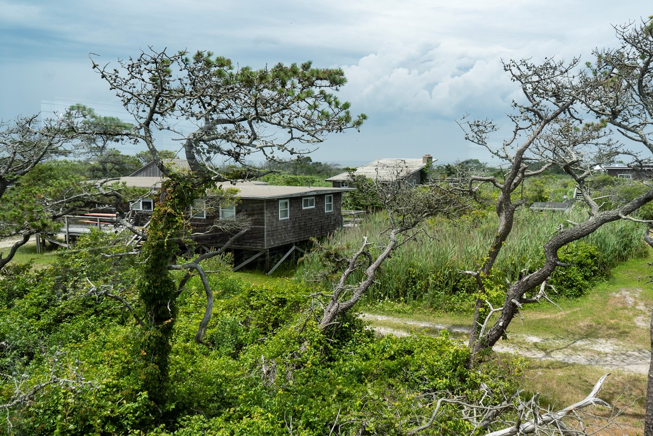 Lodging - Fire Island National Seashore (U.S. National Park Service)