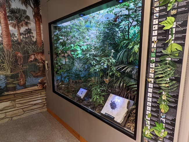 Visitor Center Exhibits - Fossil Butte National Monument (U.S. National ...