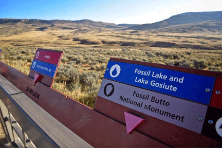 Visitor Center Exhibits - Fossil Butte National Monument (U.S. National ...