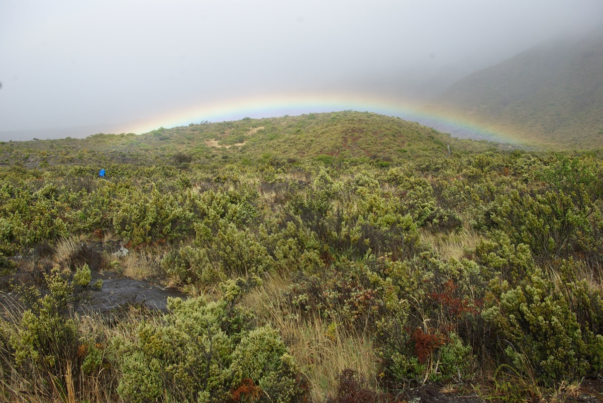 Natural Features & Ecosystems - Haleakalā National Park (U.S. National ...