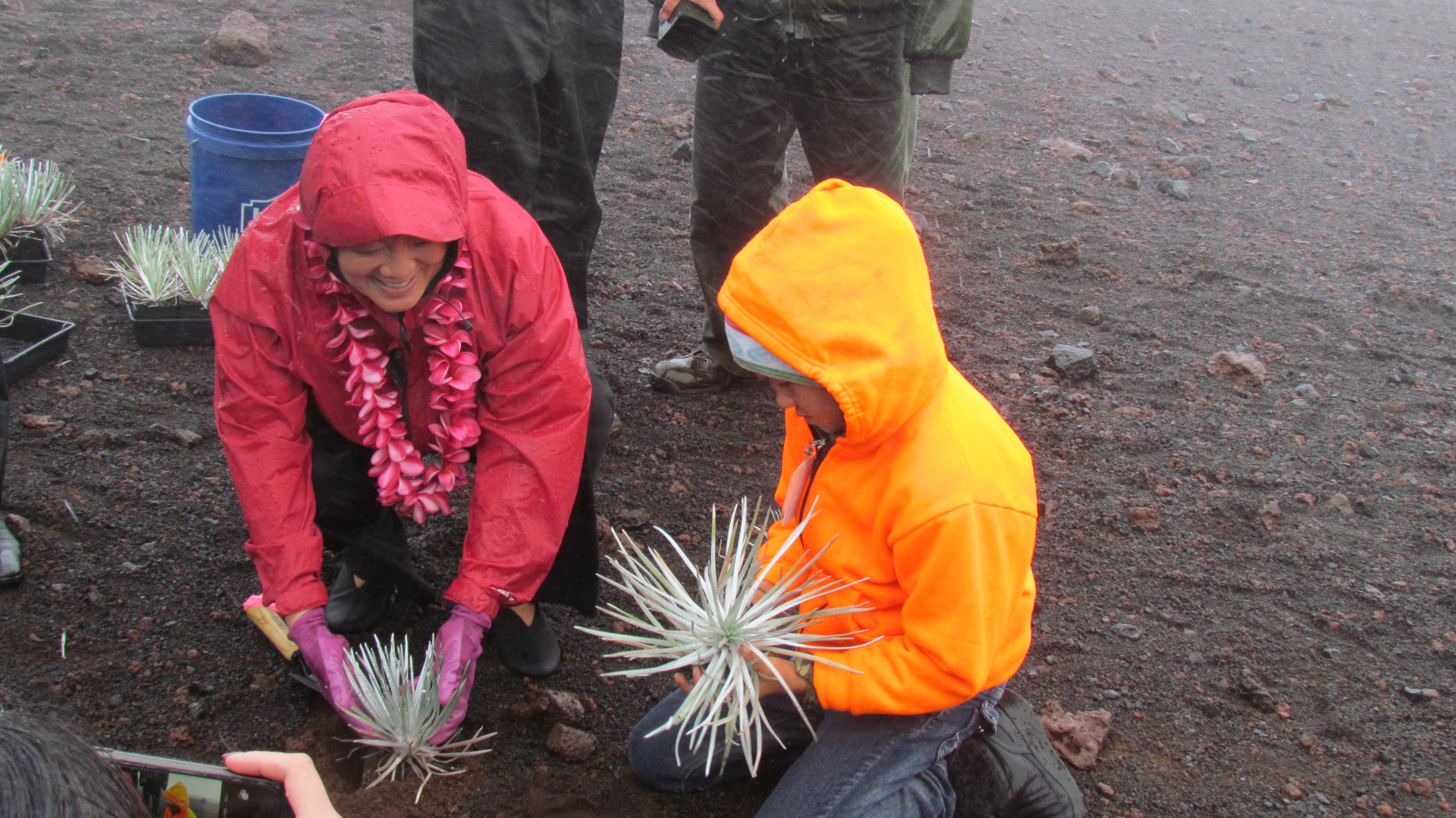 Senator Hirono Resolution - Haleakalā National Park (U.S. National Park ...