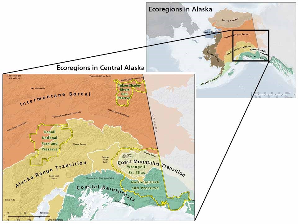 Central Alaska Ecosystems (U.S. National Park Service)