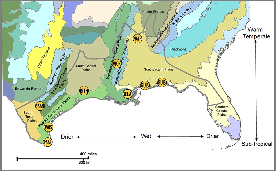 Gulf Coast Network Ecosystems (U.S. National Park Service)