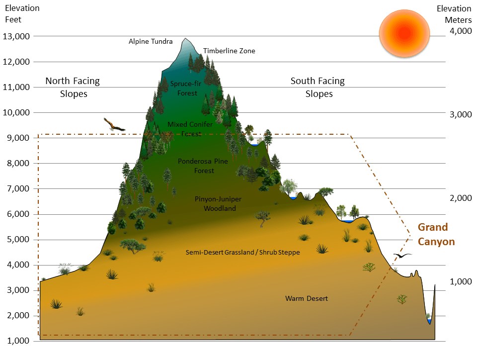 Natural Resources at Grand Canyon National Park (U.S. National Park ...
