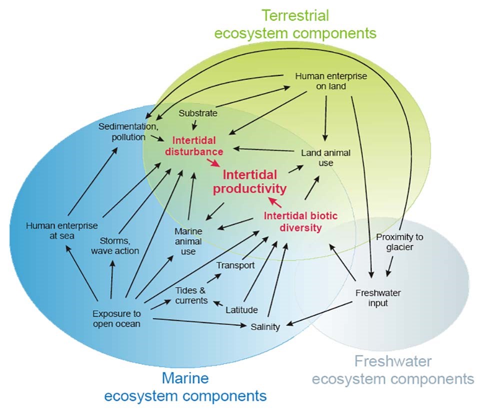 Southeast Alaska Ecosystems (U.S. National Park Service)