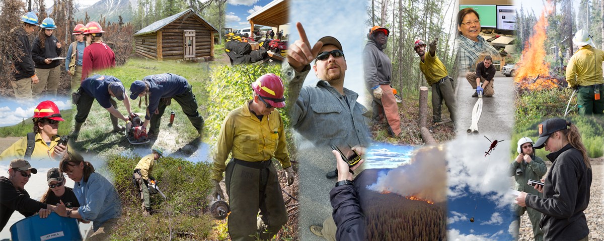 Wildland Fire Facts - Alaska (U.S. National Park Service)