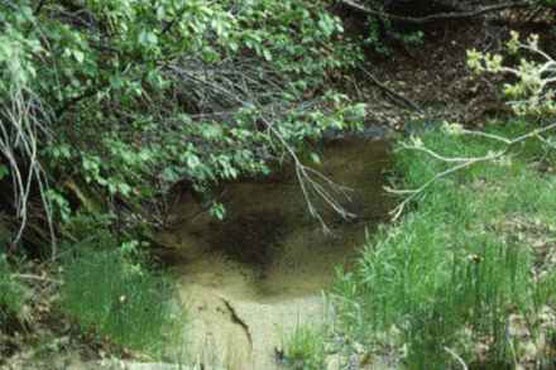 Fewkes Canyon Seep Spring - Mesa Verde National Park (U.S. National ...