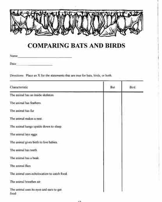 Comparing Bats and Birds - Ozark National Scenic Riverways (U.S ...