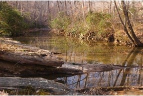 Quantico Cascades Trail - Prince William Forest Park (U.S. National ...