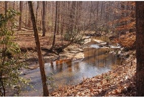 Quantico Cascades Trail - Prince William Forest Park (U.S. National ...