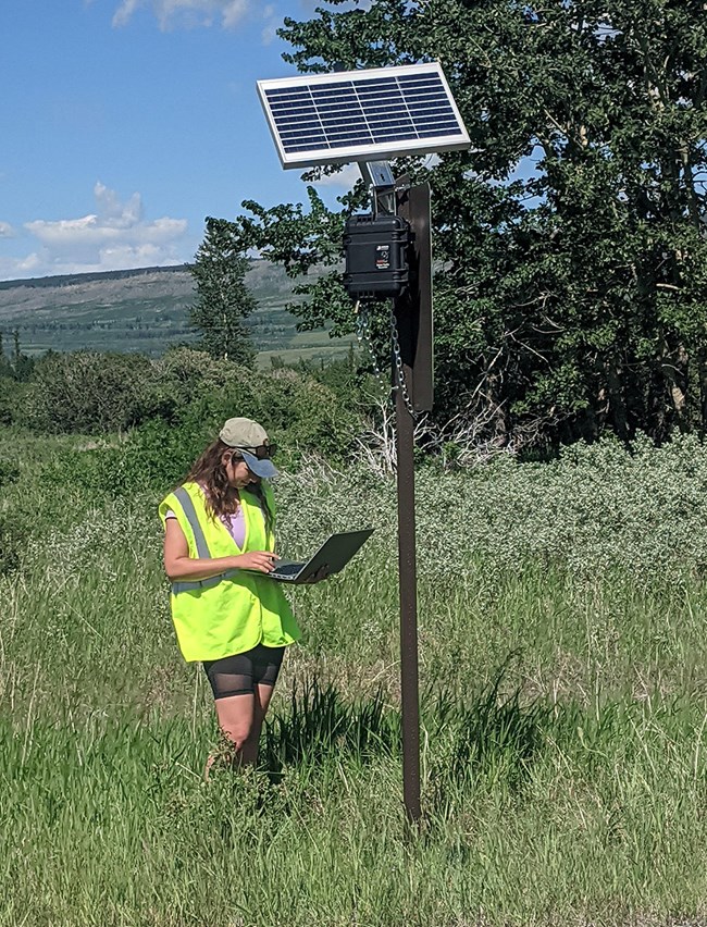 Glacier's Going-to-the-Sun Road: Managing for the Future (U.S. National ...