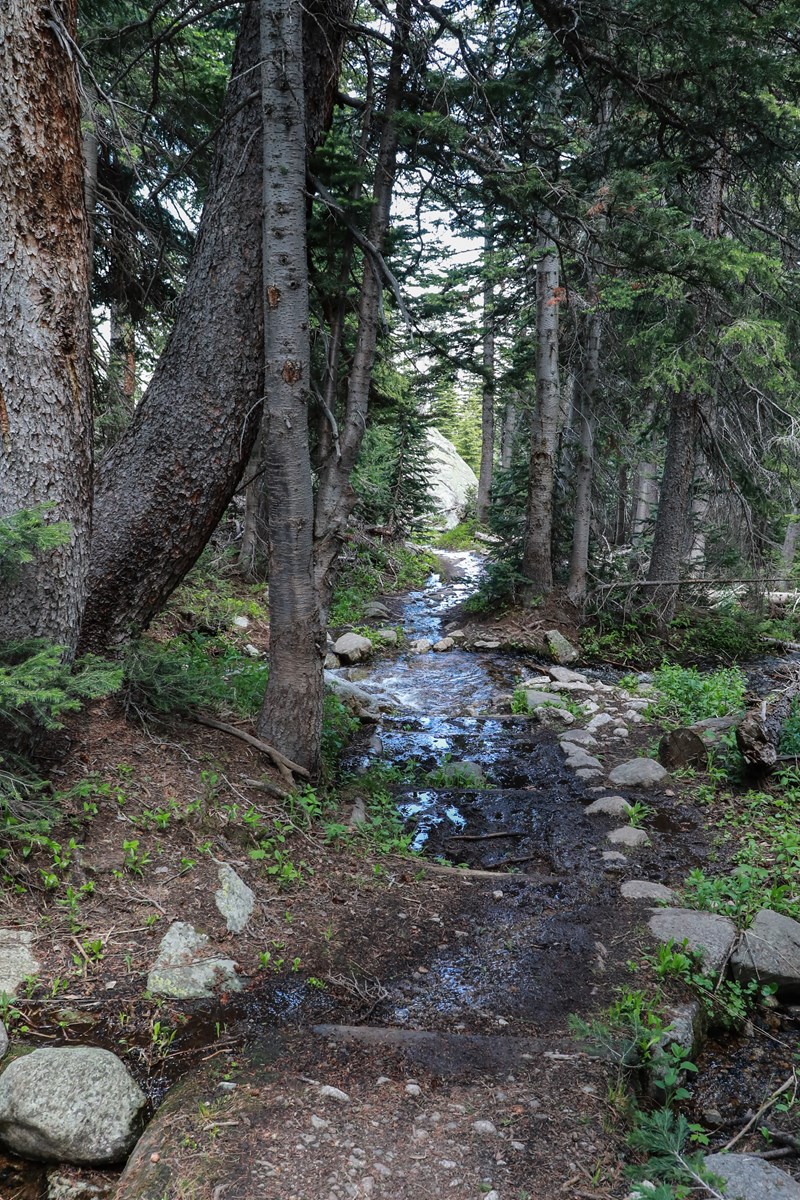 Trail Conditions - Rocky Mountain National Park (U.S. National Park ...